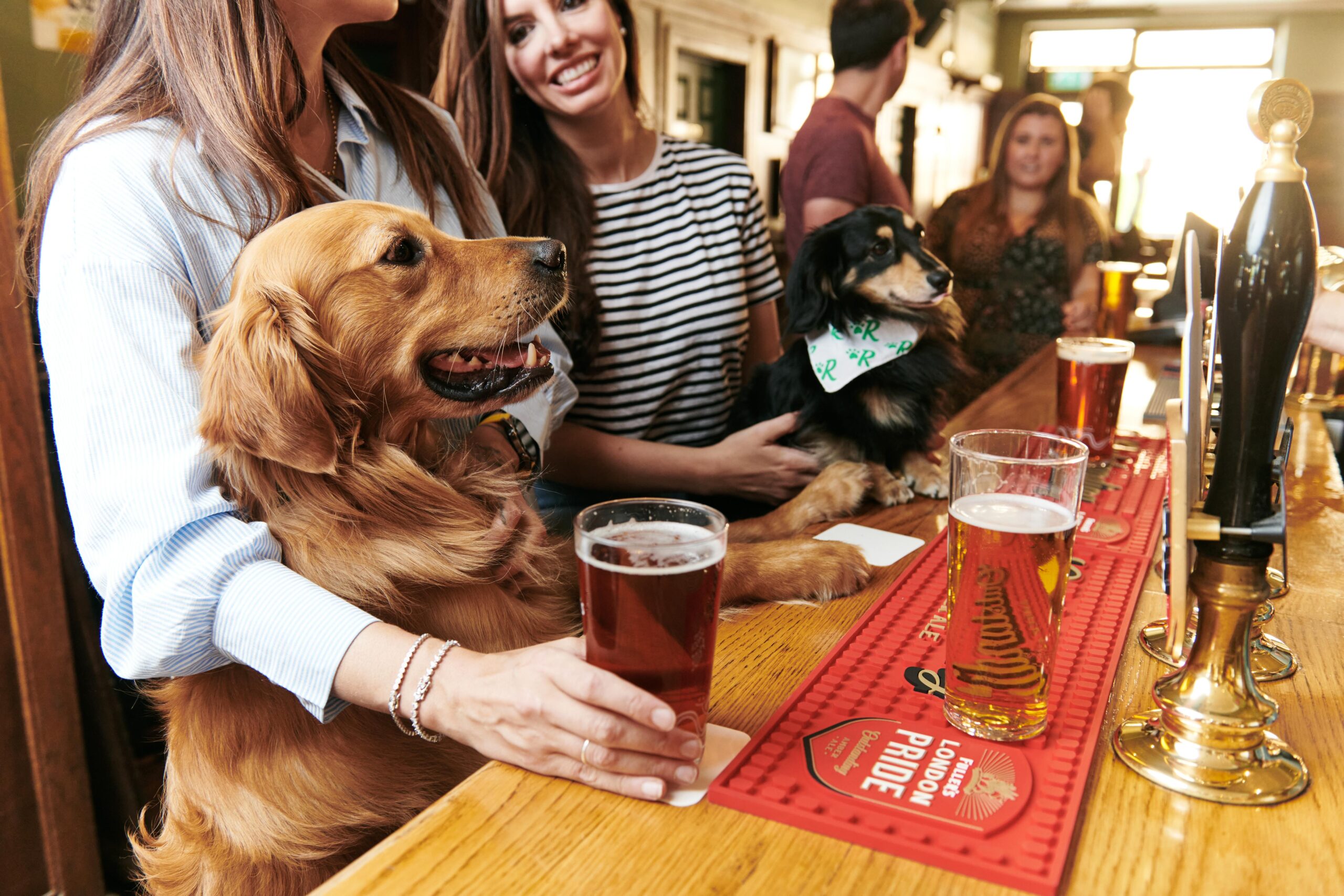 London’s Busiest Christmas Pubs Officially Revealed with convenience ...