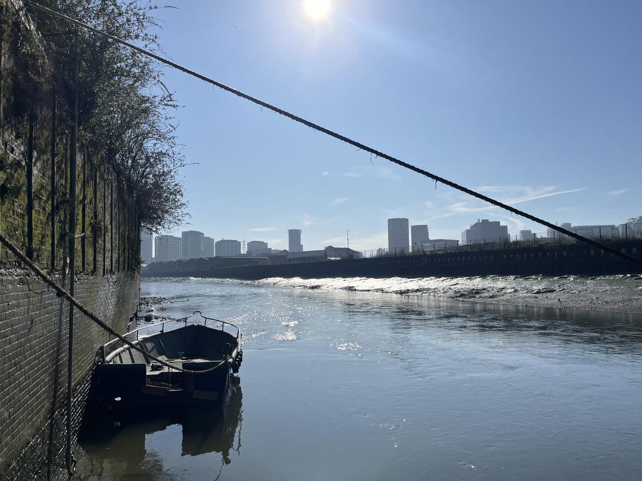 Thames21 and partners launch five-year initiative to improve the River ...