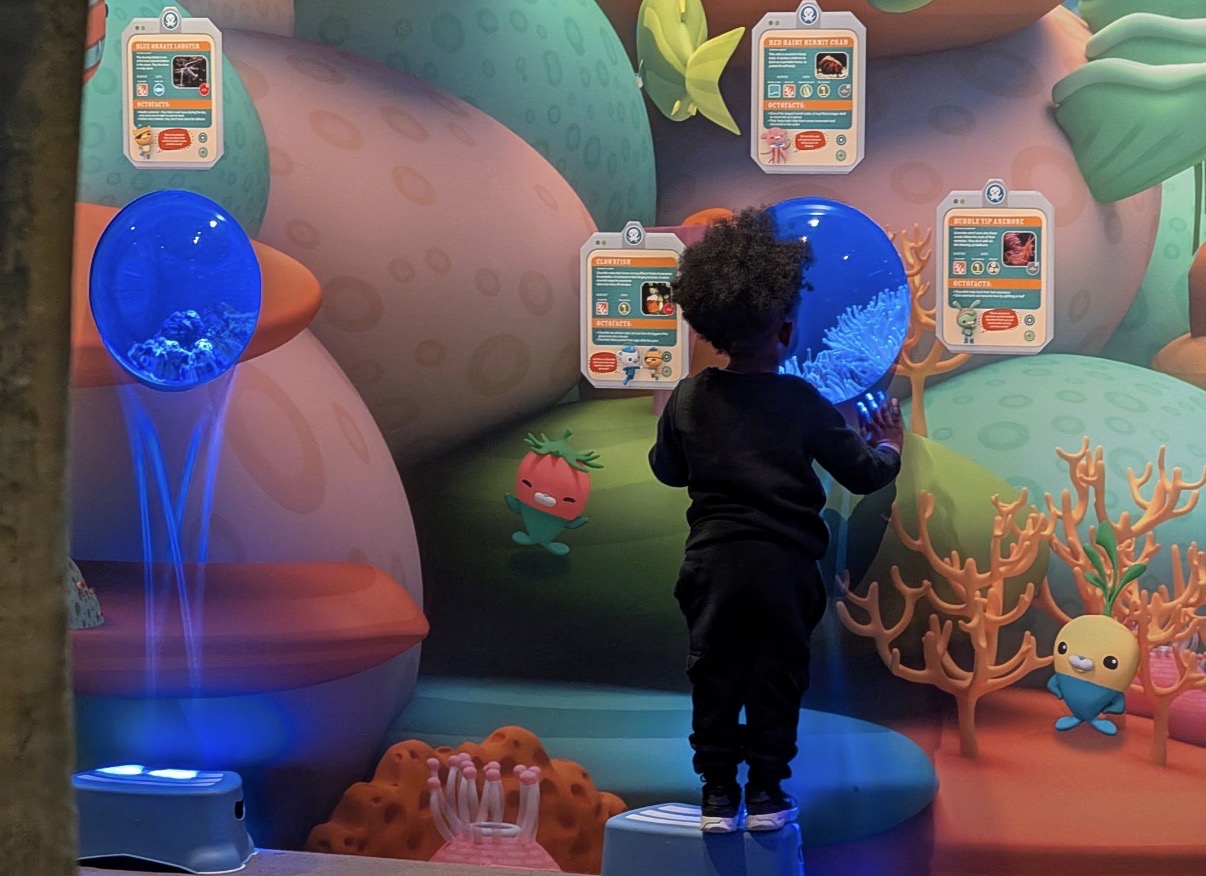 New Aquarium displays bring Voyage to the Deep to life at the Horniman ...